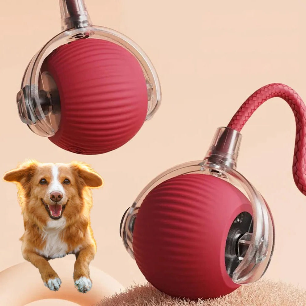 Active Rolling Ball with Tail for Dogs – jomhome.co